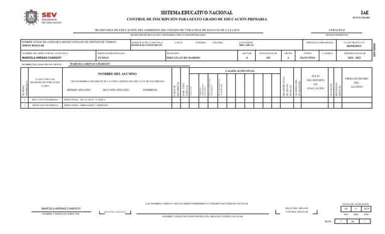 Reporte IAE Inicial 2024-2025 | PDF