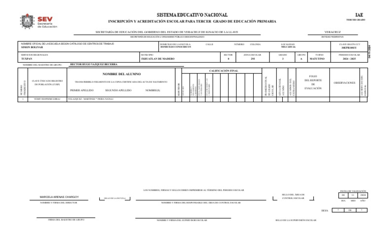Reporte IAE Inicial 2024-2025 | PDF