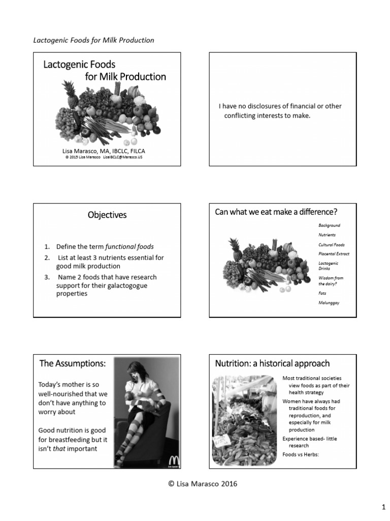Lactogenic Foods PPT Handout | PDF | Breast Milk | Fat