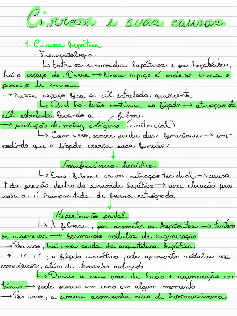 Cirrose e Suas Causas - HEP 2 - 210715 - 160348 | PDF