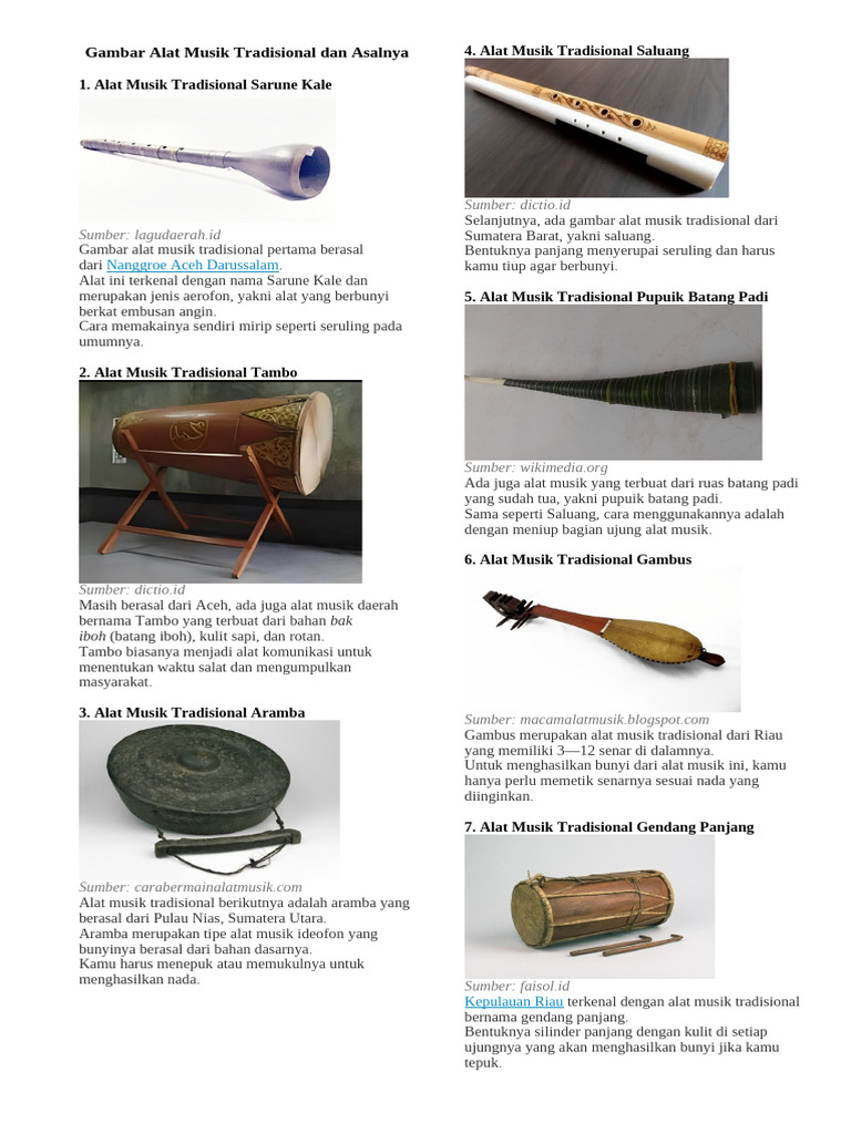 Gambar Alat Musik Tradisional dan Asalnya 20 dan moderen 10 | PDF