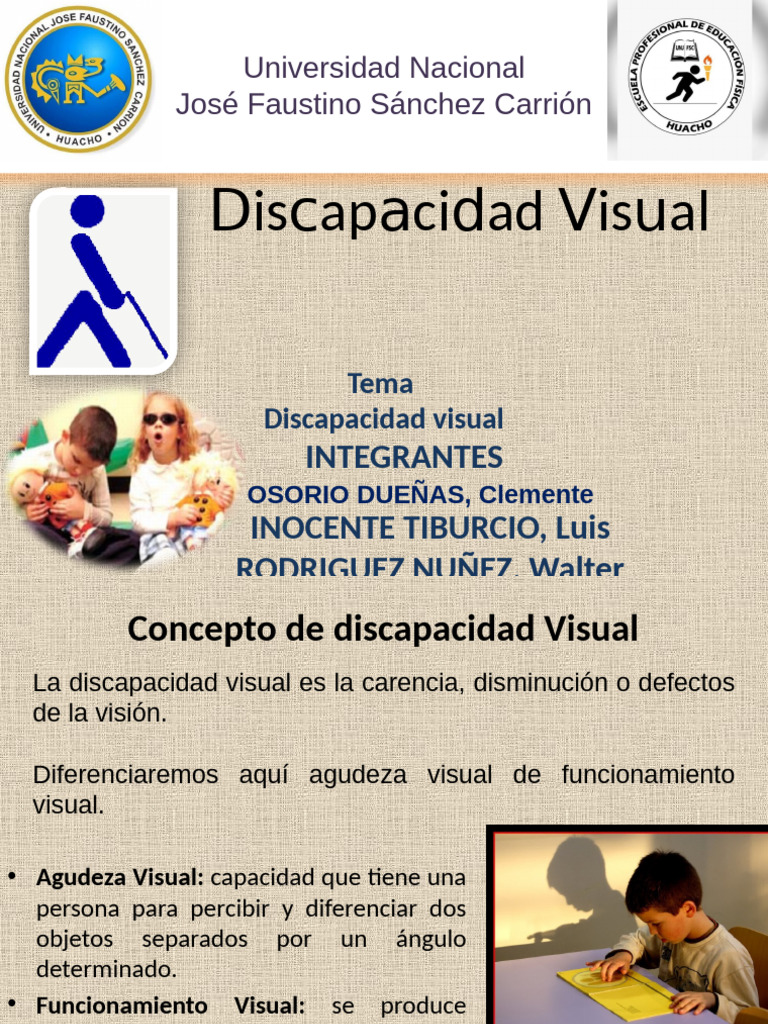 Discapacidad Visual | PDF | Discapacidad visual | Percepción visual