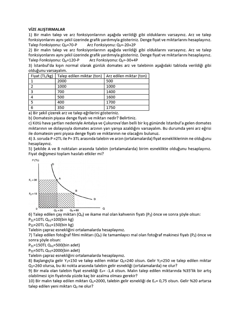 Vize Calisma Sorulari | PDF