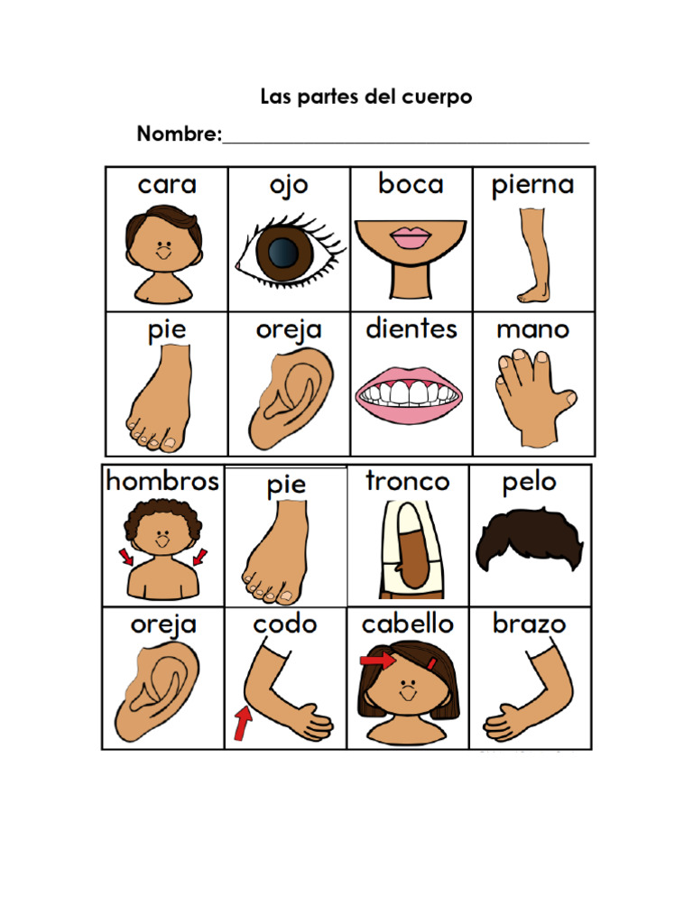Loteria de Las Partes Del Cuerpo | PDF