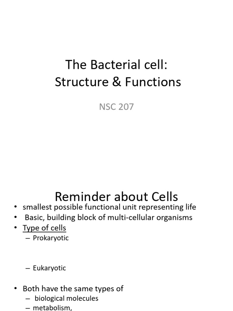 Bacterial Cell | PDF | Bacteria | Cell Membrane