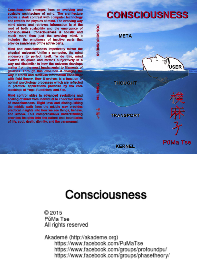 Consciousness | PDF | Photon | Mind