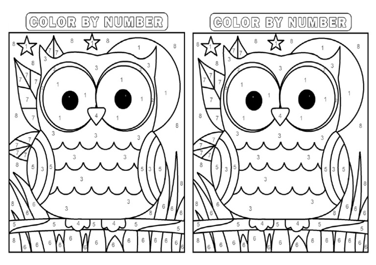 Color by Numbers-Owl | PDF