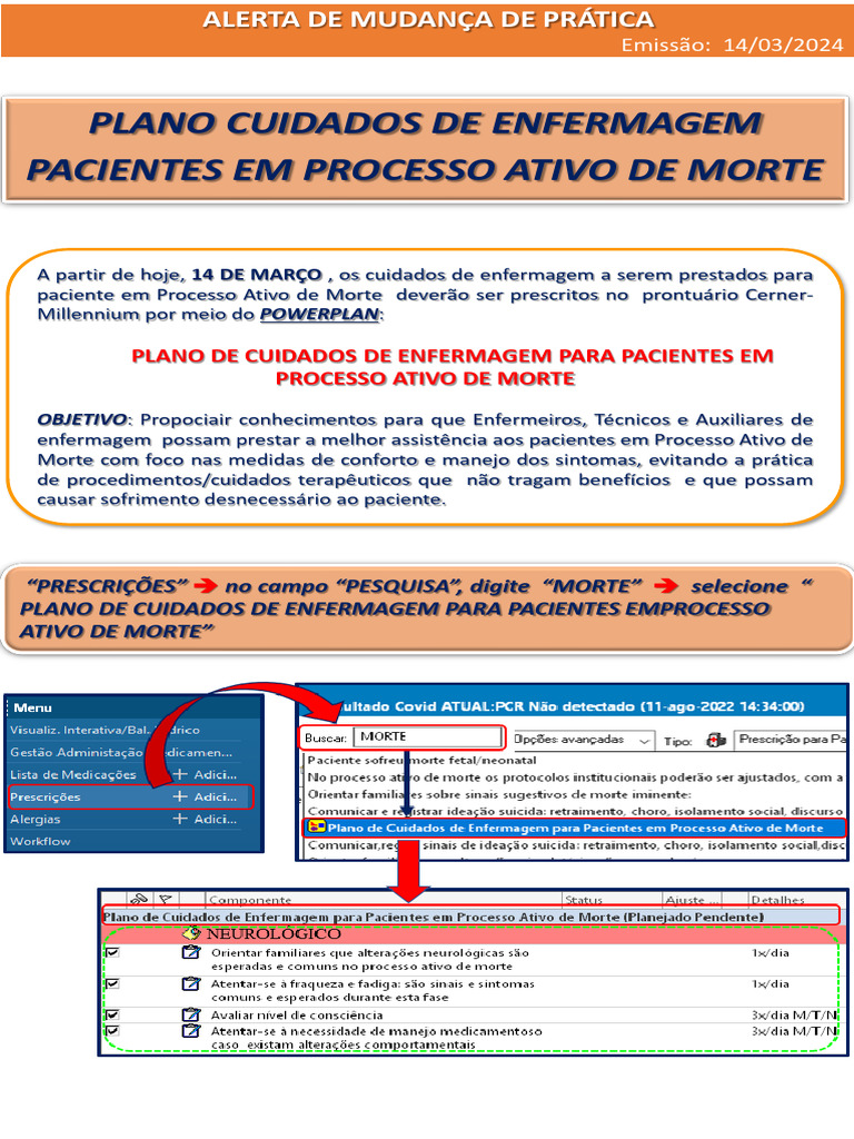 Cuidados de Enfermagem em Morte Ativa | PDF