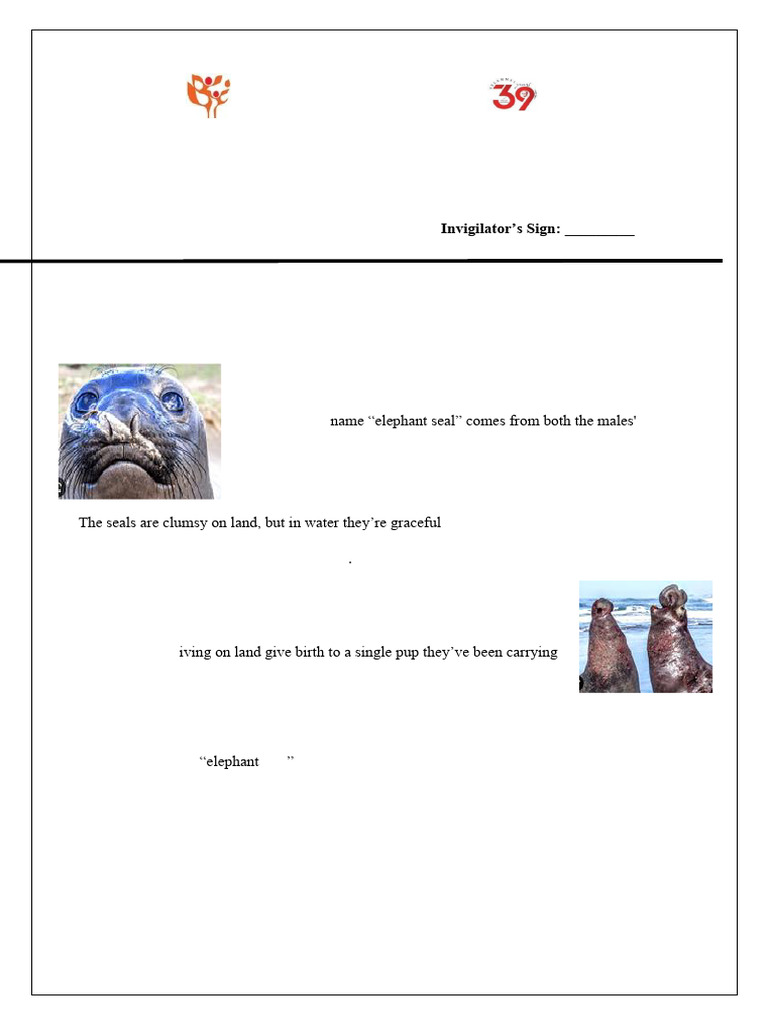 Grade 5 English PT-2 Sample Question Paper | PDF | Pinniped | Grammar