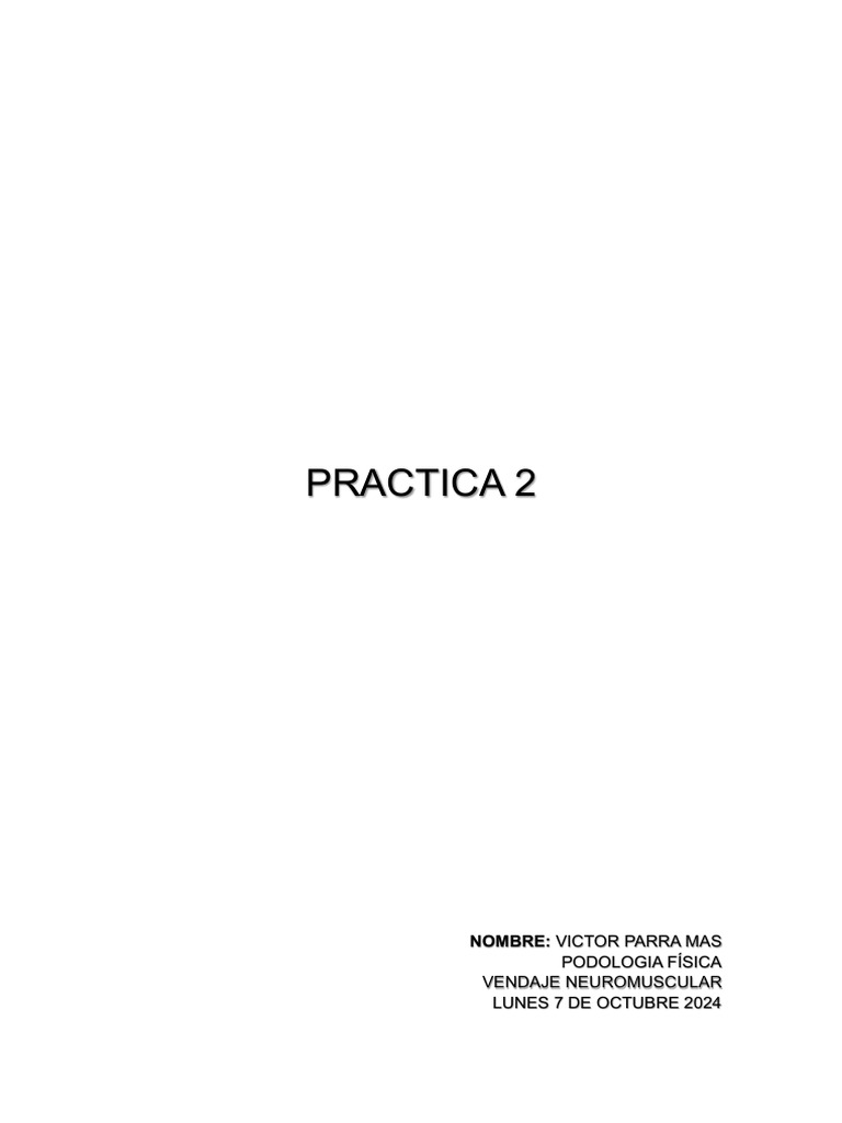 Practica 2 | PDF