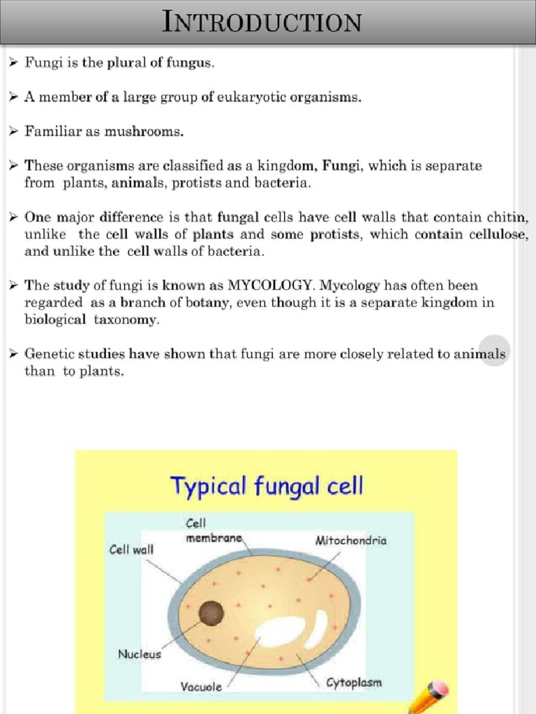 Fungi | PDF