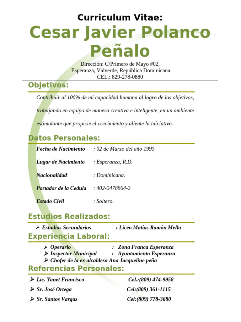 CURRICULUM Cesar Javier Polanco Peñalo | PDF