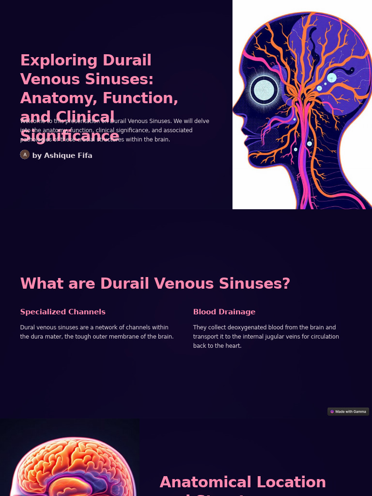Exploring Durail Venous Sinuses Anatomy Function and Clinical ...