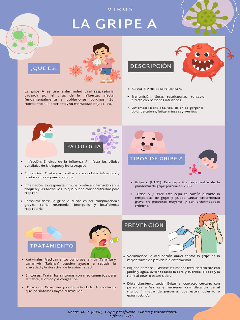 Infografía GRIPE - PDF (28 X 43 CM) (28 X 43 CM) | PDF | Influenza ...