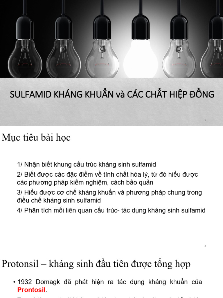 Sulfamid Trimethoprim Pyrimethamin KK | PDF