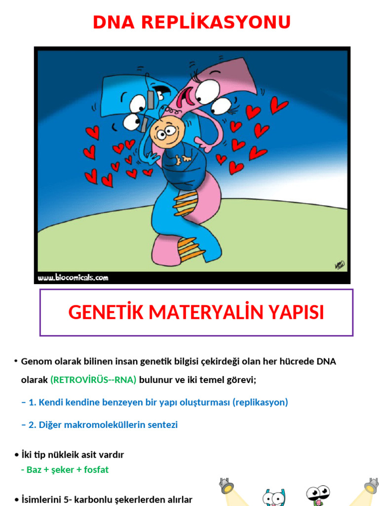 DNA Replikasyon 2024-2025 | PDF