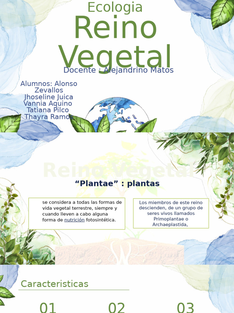 Reino Vegetal | PDF | Raíz | Tallo de la planta
