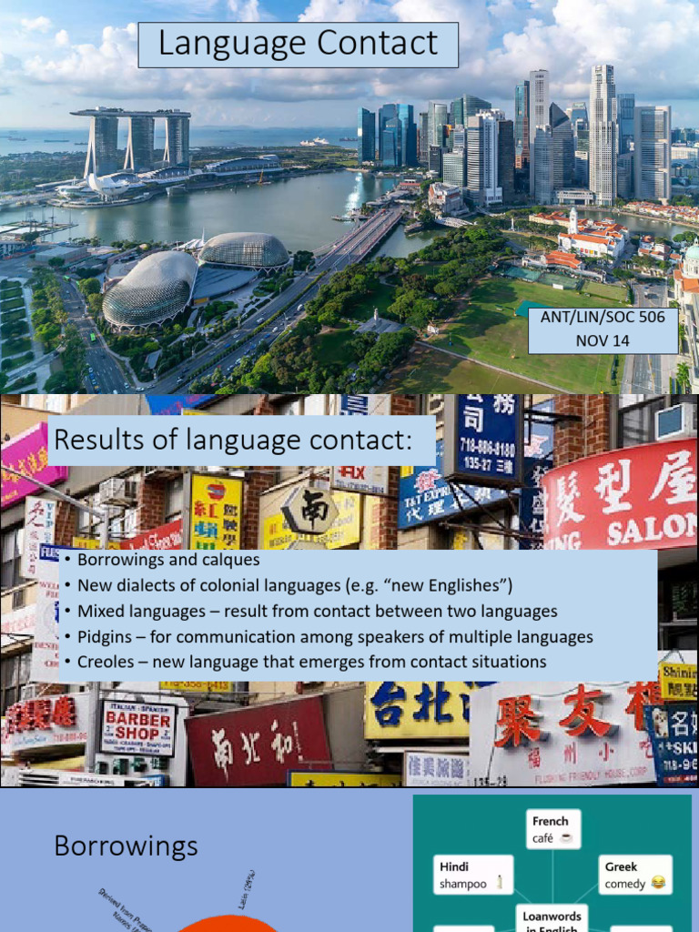 NOV 14 Language Contact | PDF | Linguistics | Human Communication