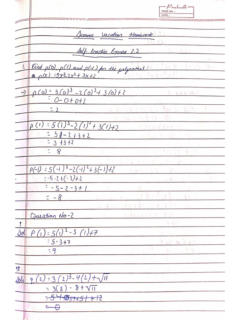 Sahil Sahu Summer Vacation Homeworkykwupwo6ap | PDF