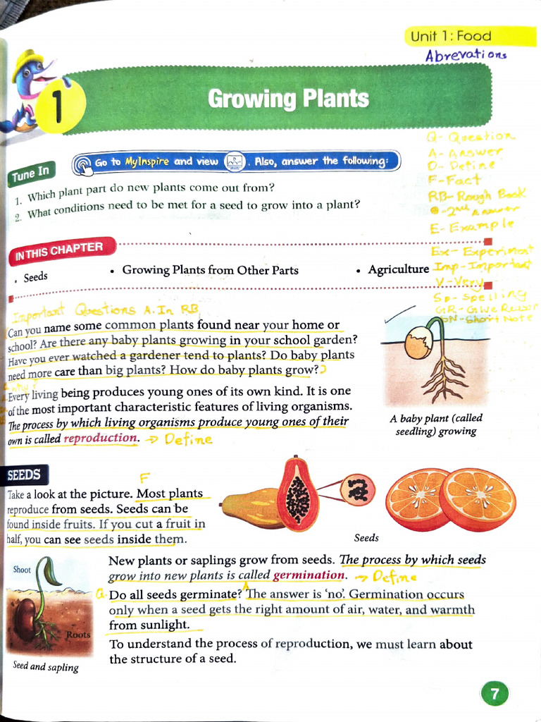 Growing Plants | PDF | Seed | Agriculture