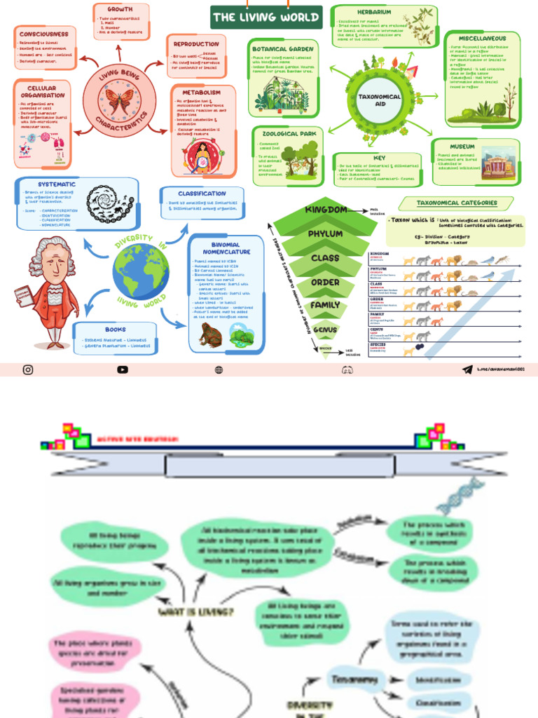 The Living World-2 | PDF | Taxonomy (Biology) | Species