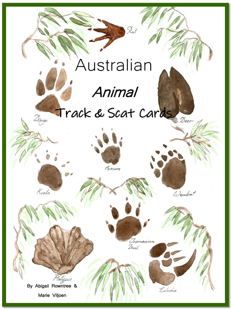 Australian Animal Track and Scat Montessori Cards | PDF | Koala ...