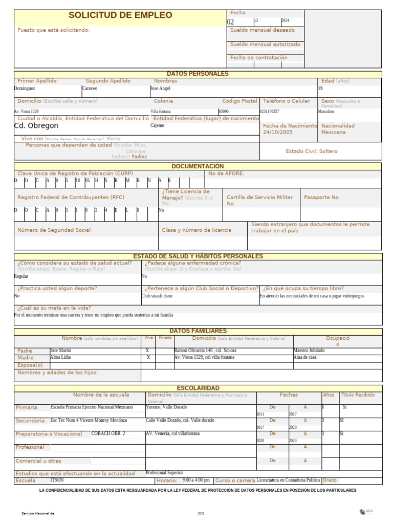 Sne Solicitud de Empleo Plantilla PDF | PDF