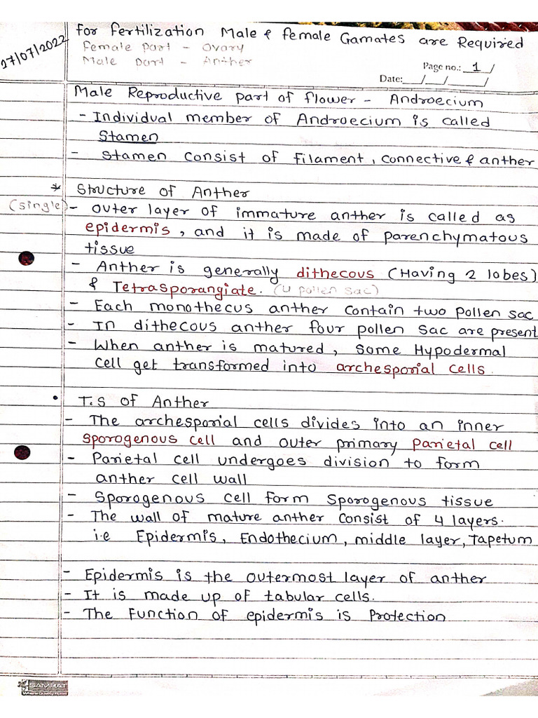 Biology | PDF