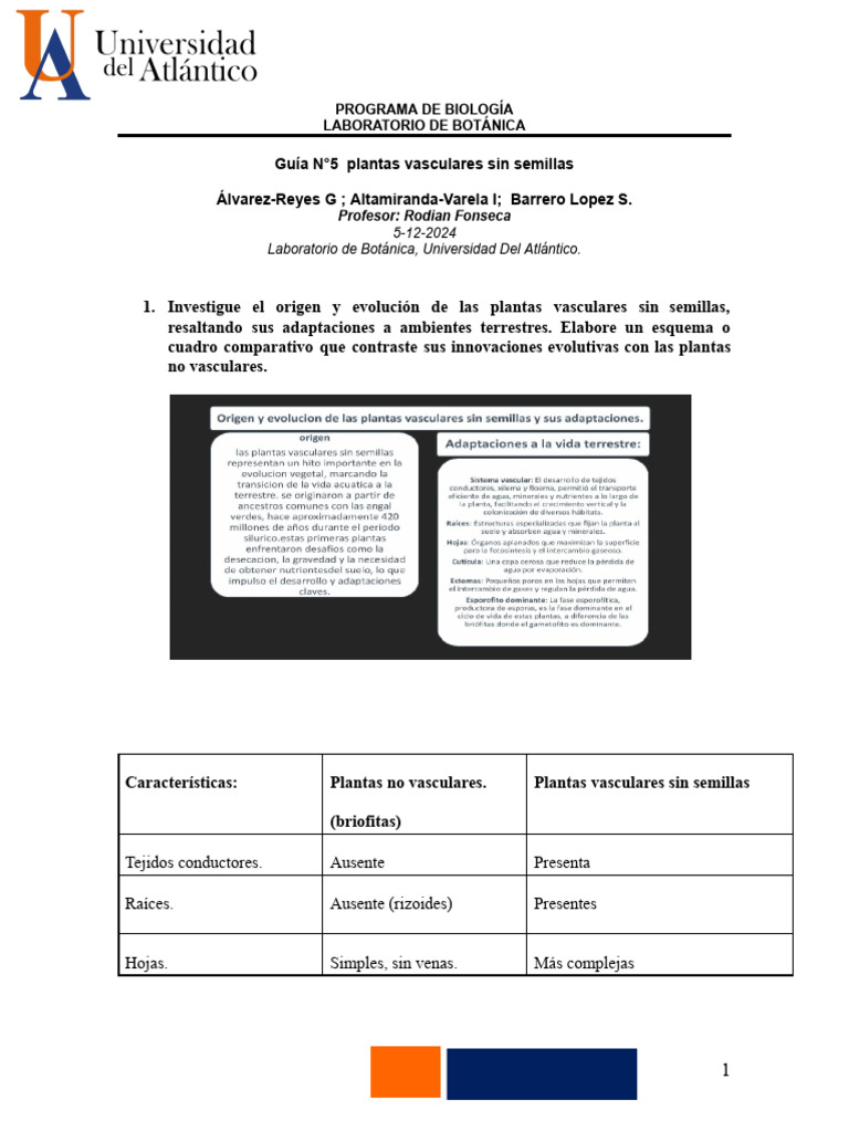 Práctica Plantas Vasculares Sin Semilla Pdf Plantas Espora 5846