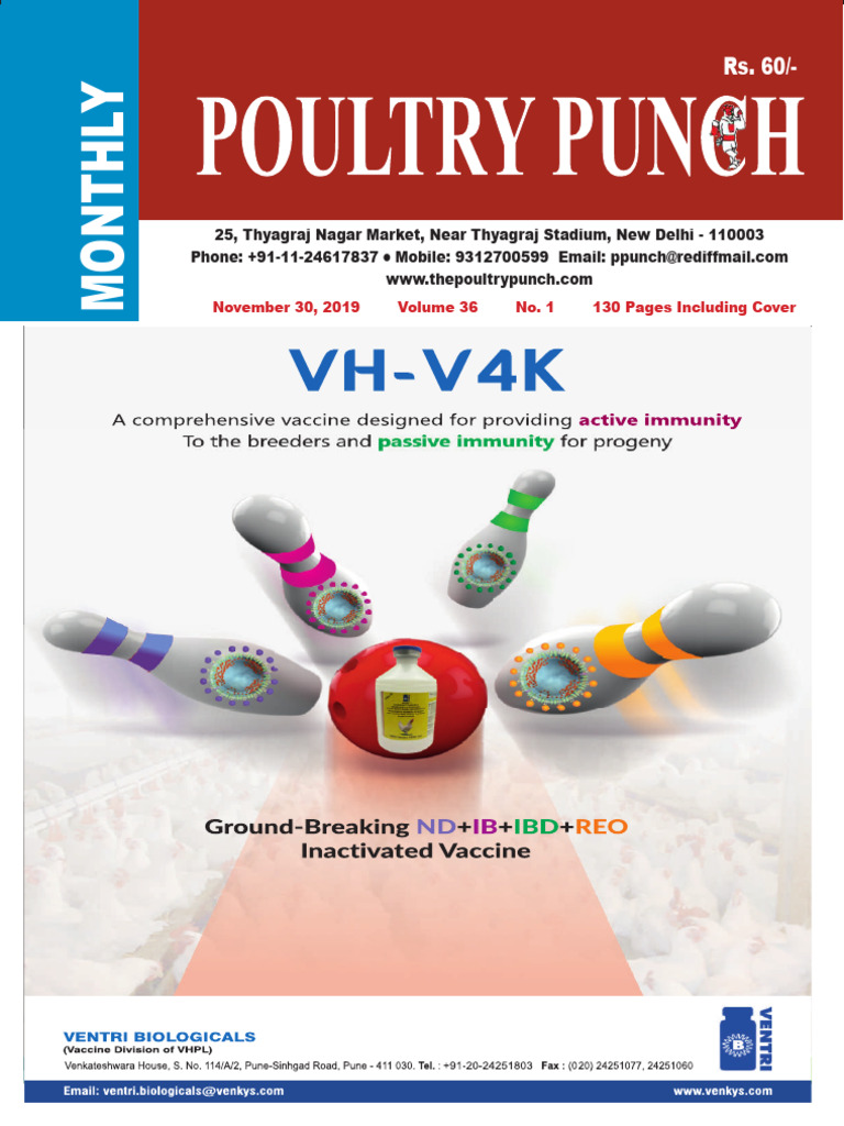POULTRY PUNCH November 2019 Edition Compressed | PDF | Agriculture ...