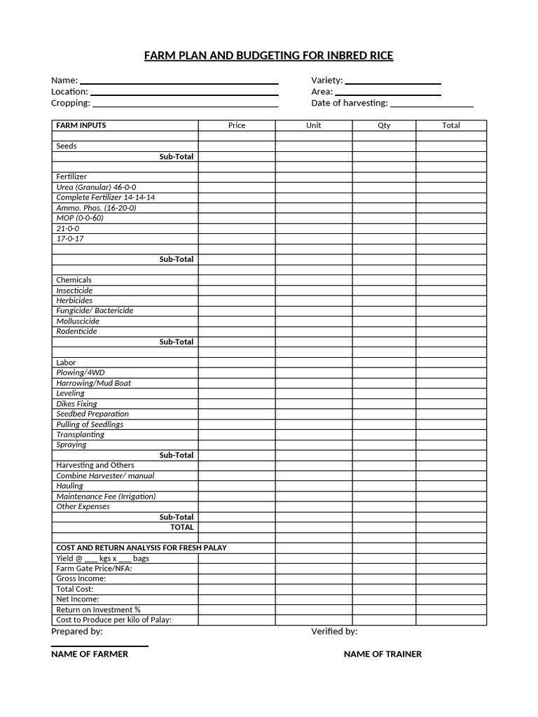 Rice Farm Budget and Planning Guide | PDF