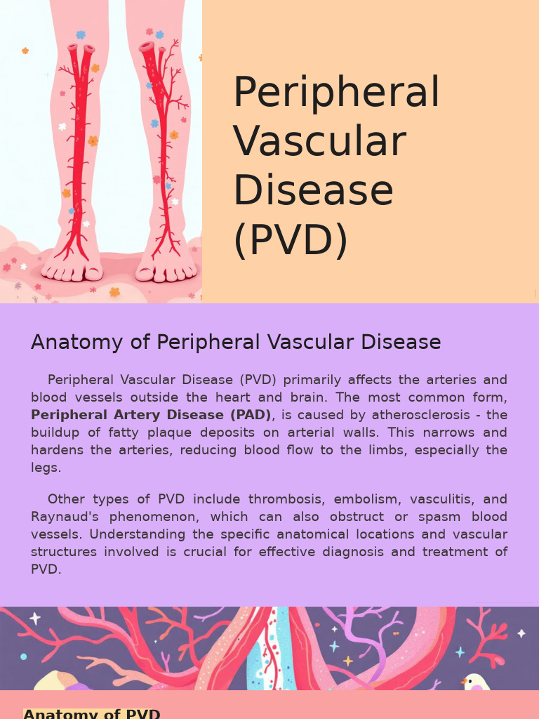 Peripheral Vascular Disease PVD | PDF | Blood Vessel | Artery