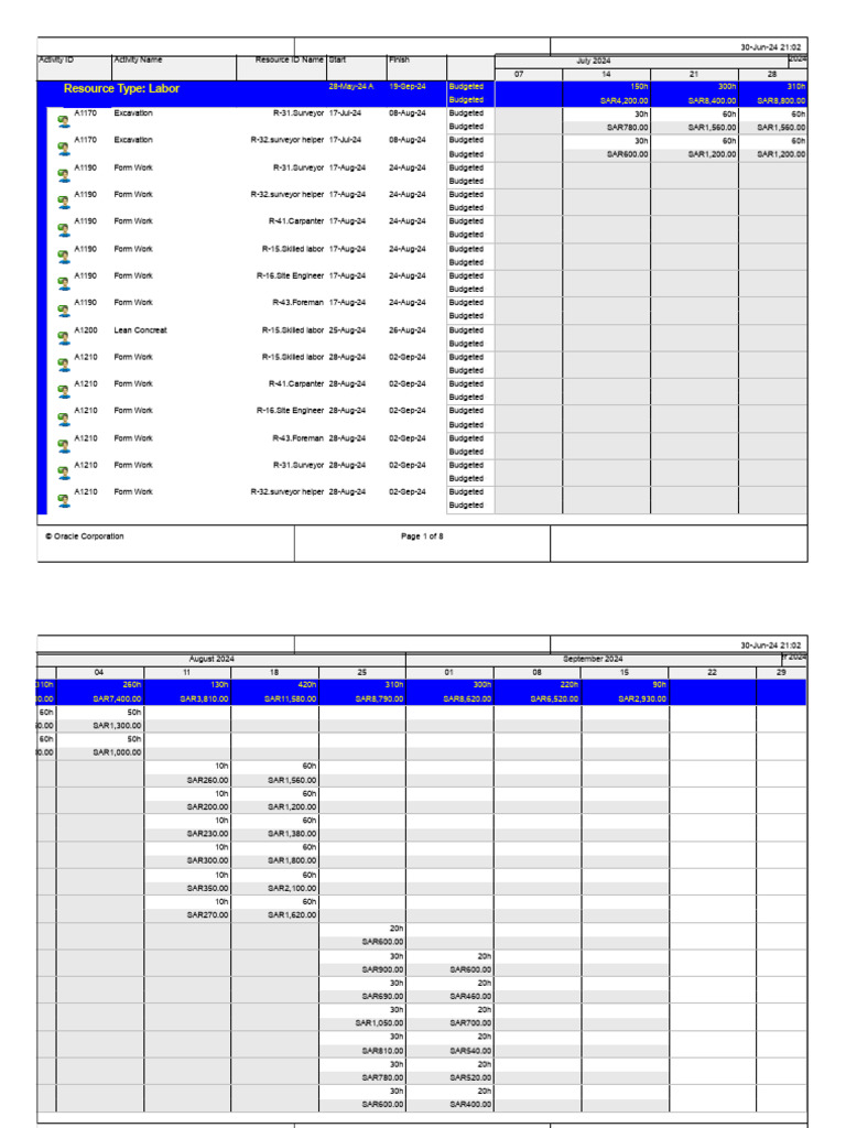 Resource Labor Allocation | PDF