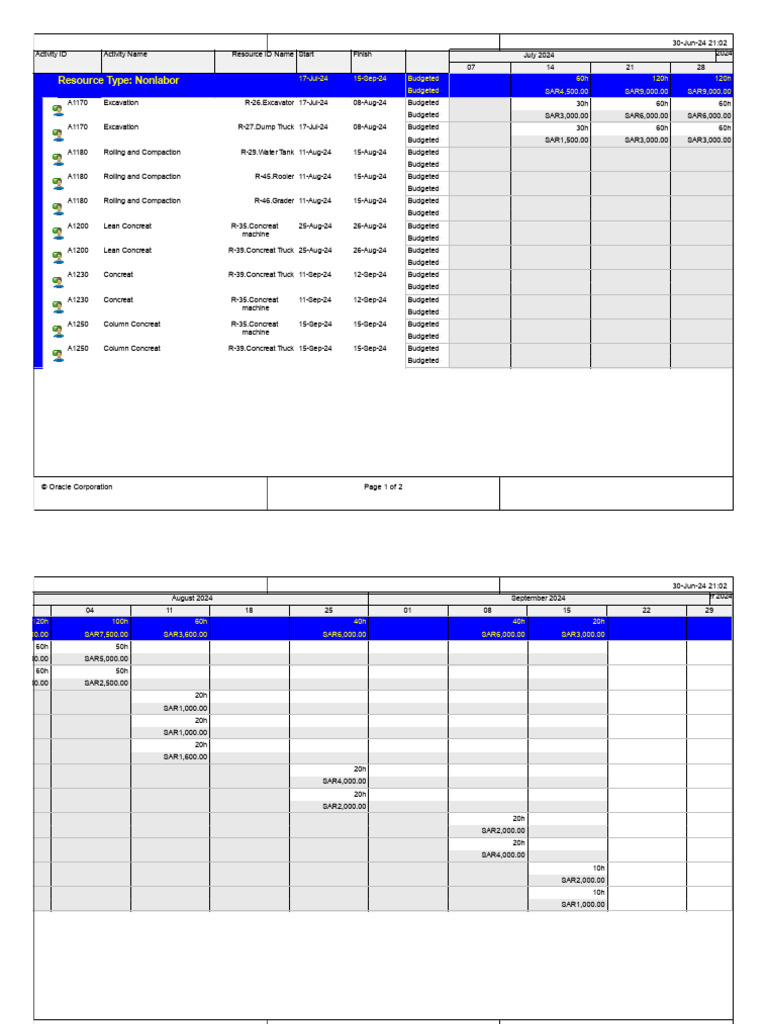 Resource Non Labor Allocation | PDF