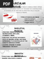 Muscular System Grade 4 Science | PDF | Wellness