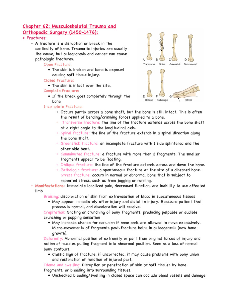 Module 12_ Movement Fractures and Amputations Copy | PDF | Bone ...