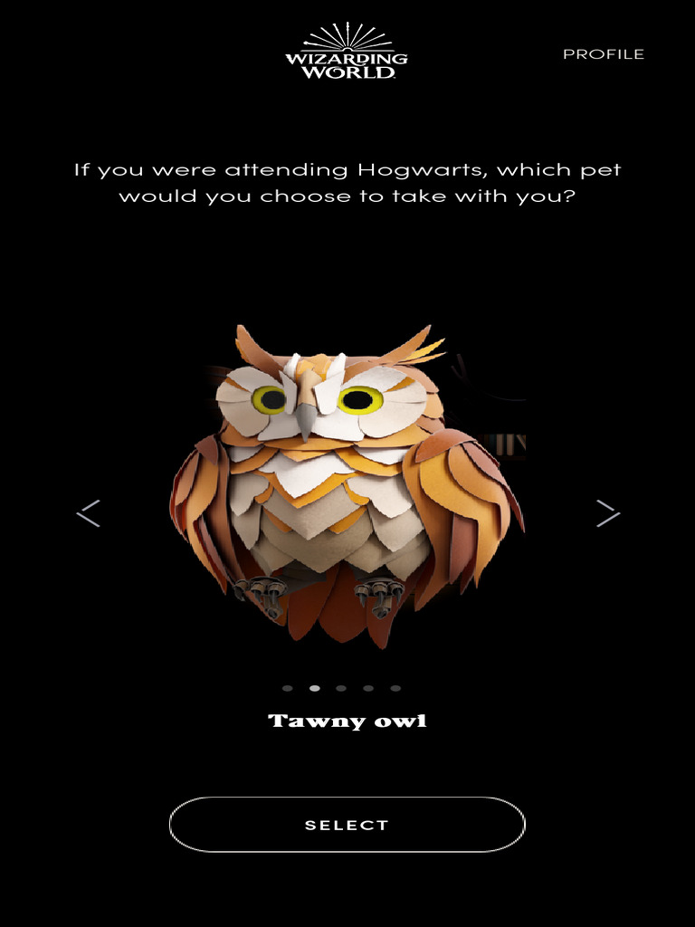 Wizarding World | PDF
