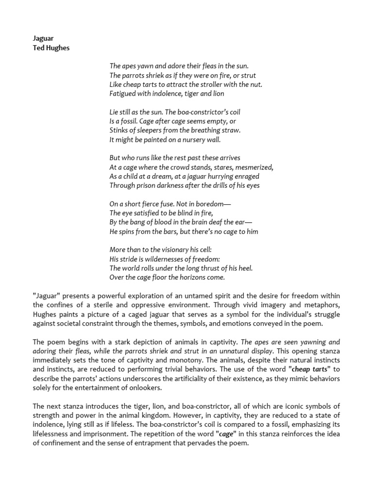 Jaguar - Ted Hughes (Summary, Analysis & Themes) | PDF