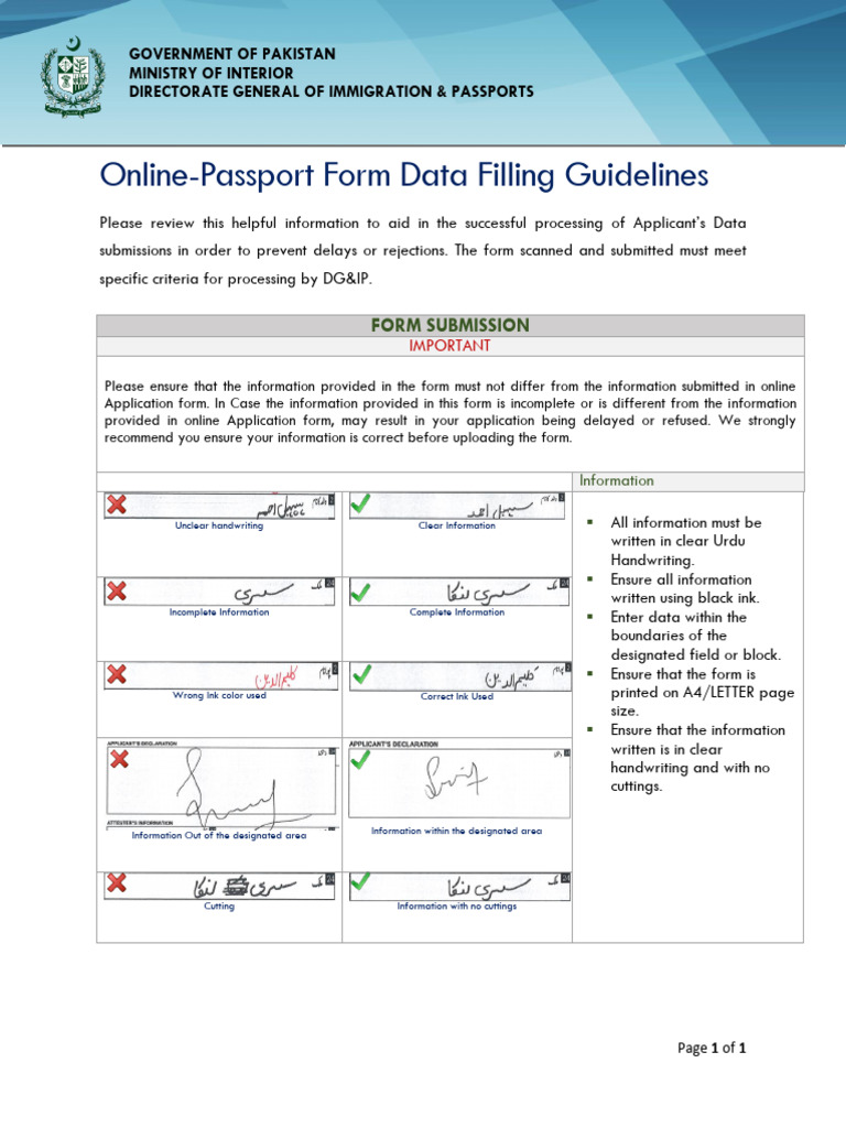 Form Filling Guide Applicant | PDF