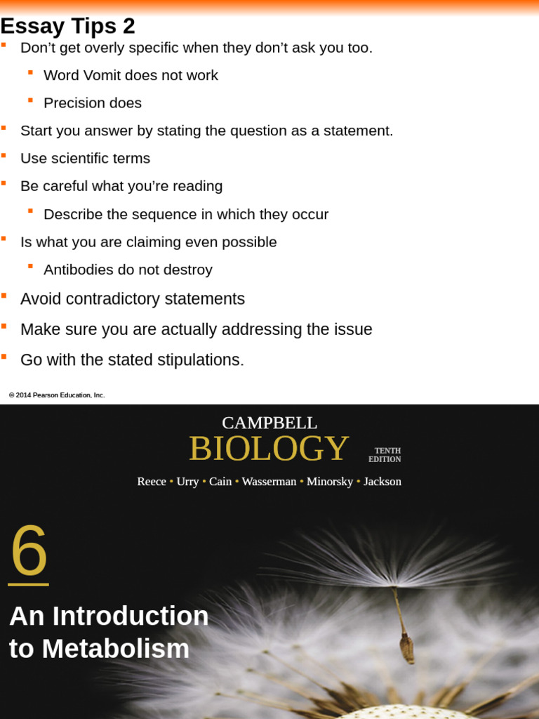 Cellular Energetics Student | PDF | Glycolysis | Adenosine Triphosphate