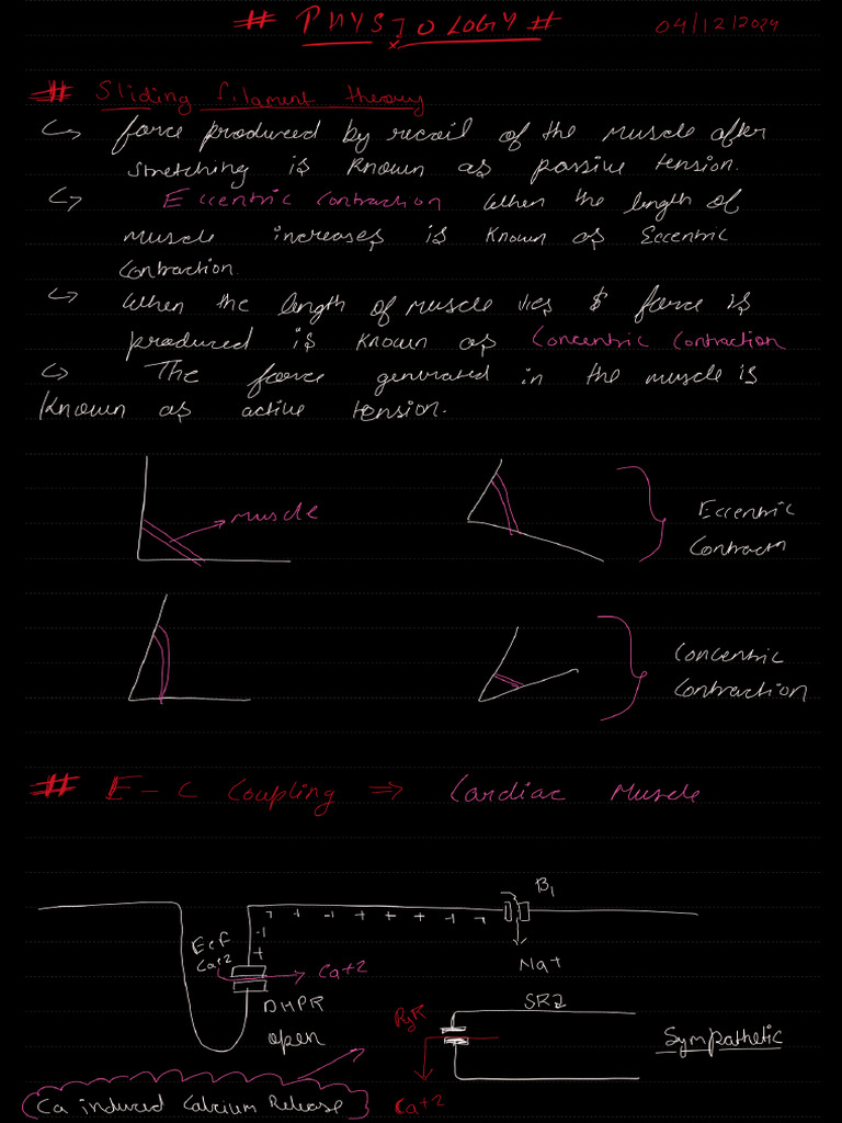 Physio (Muscles) | PDF