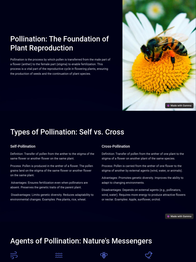 Pollination The Foundation of Plant Reproduction | PDF | Pollination | Flowers