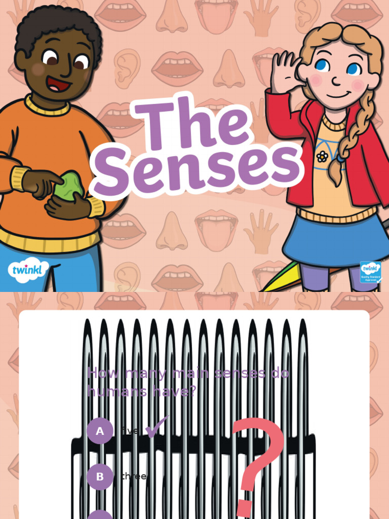 T SC 1701158472 The Senses Powerpoint Quiz Ver 3 | PDF