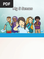 5 Senses Booklet | PDF