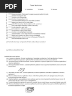 Class9 Animal Tissues Worksheet | PDF | Connective Tissue | Tissue ...