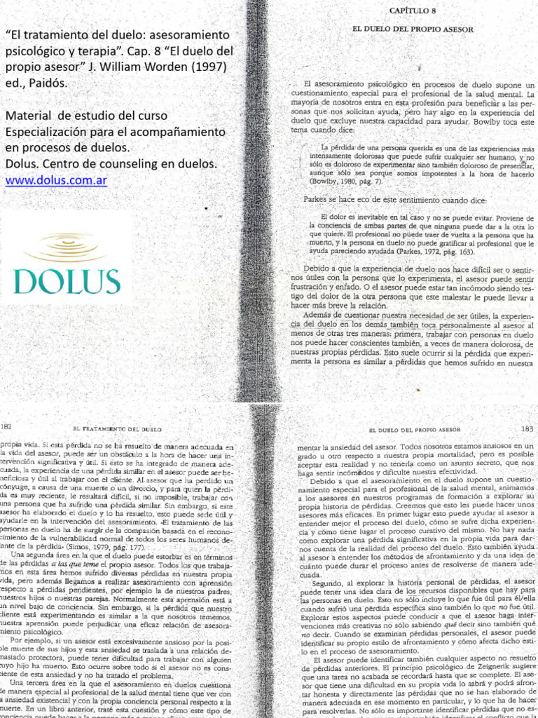 William Worden. Capitulo 8 | PDF