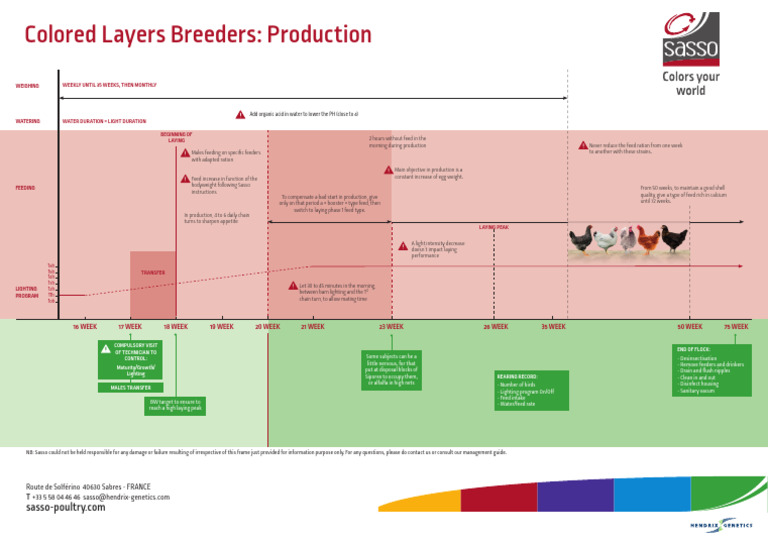 SASSO Technical Memo Layers Production en | PDF