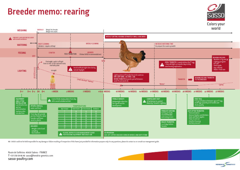 SASSO_Technical_Memo_Rearing_EN | PDF | Birds