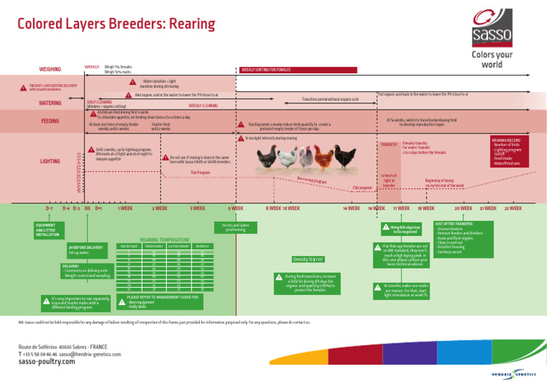 SASSO Technical Memo Layers Rearing en | PDF