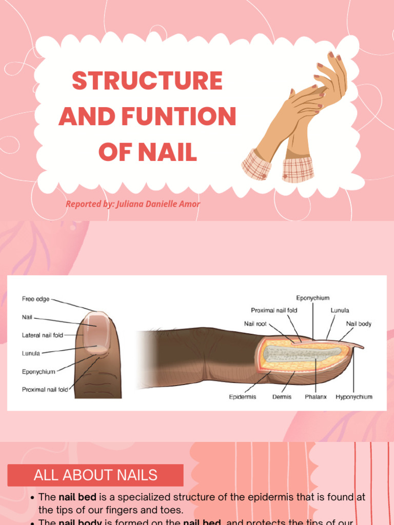 Amor Nails | PDF